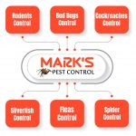 Heat Treatment - Marks Pest Control