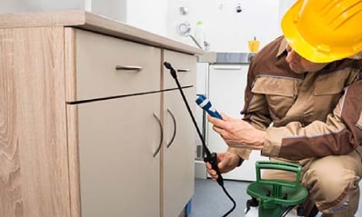 Pest Control Sydney | Mark's Pest Control @ 0482074889